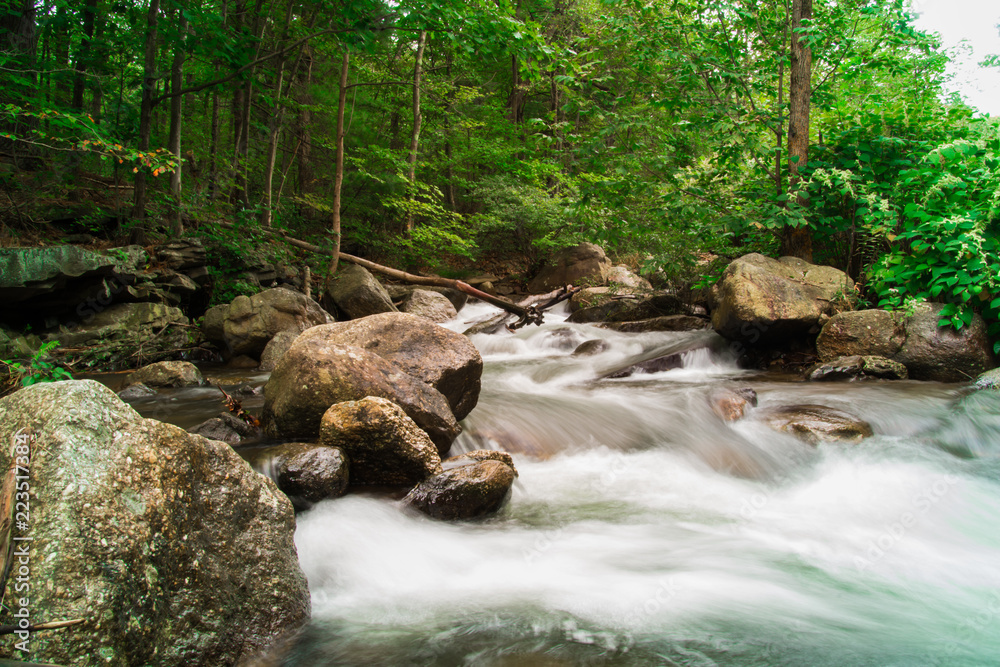 Fresh Water Stream Flowing Swiftly Over Rocky Forest Landscape Stock ...