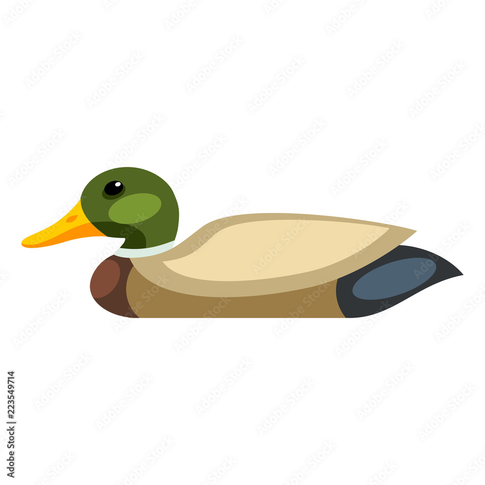 Cartoon vector duck character Stock Vector | Adobe Stock