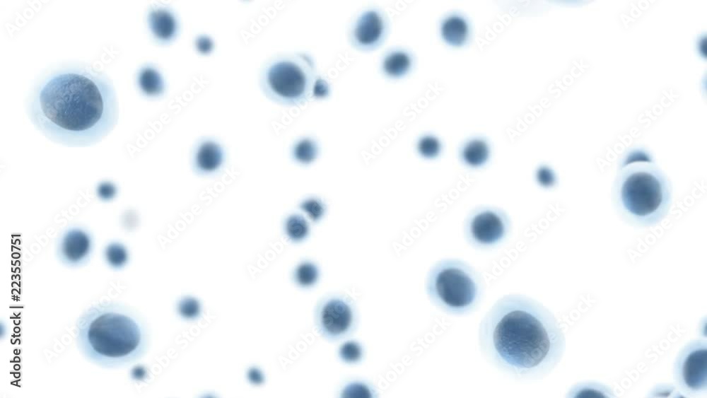 Human embryonic stem cells 3d animation on white background. 4K ...