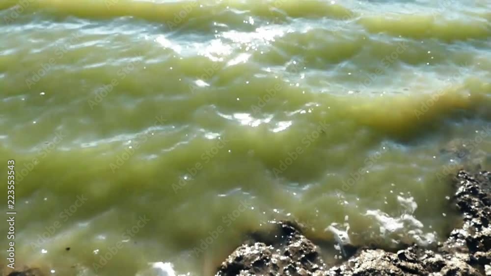 polluted water, dirty and polluted water chemical waste pollutes waters ...