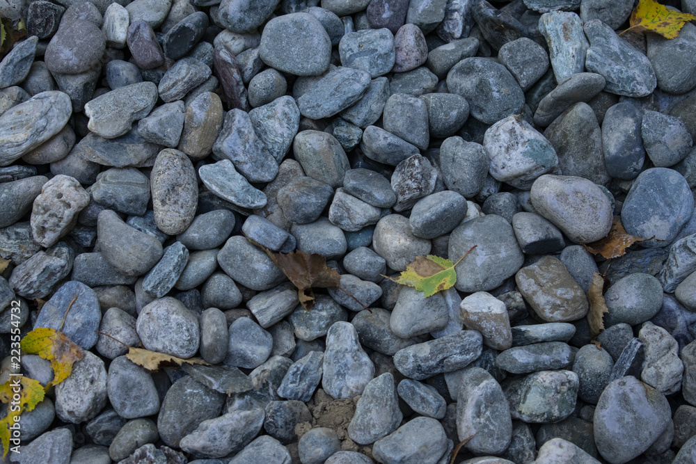 Texture Stock Photo | Adobe Stock