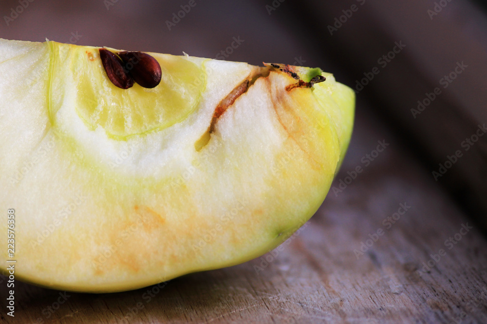 a trace of apple worms in apple. source of infection of apple by the ...