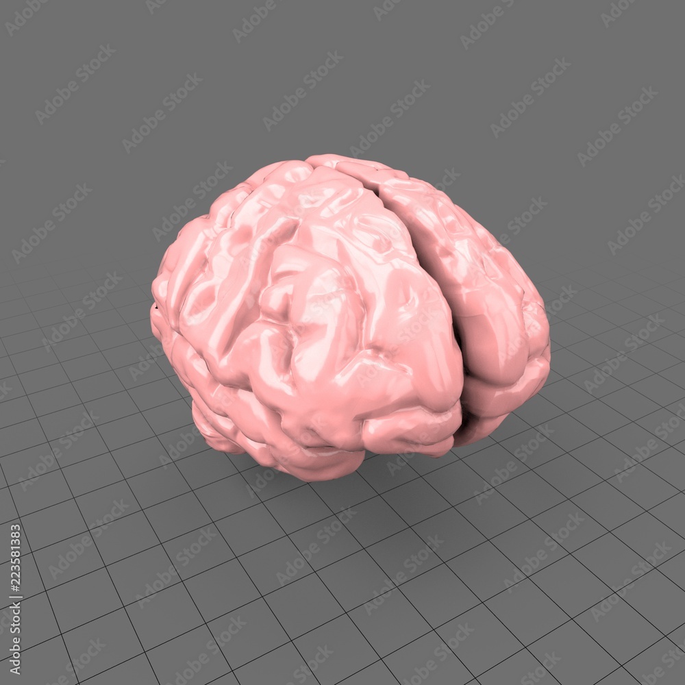 Stylized human brain Stock 3D asset | Adobe Stock