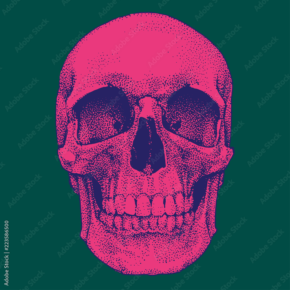 Pink Skull Backgrounds