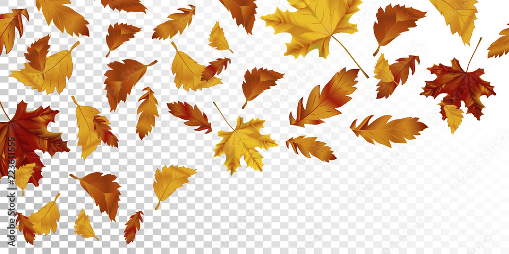 Fall Leaves Background Clipart Balloons