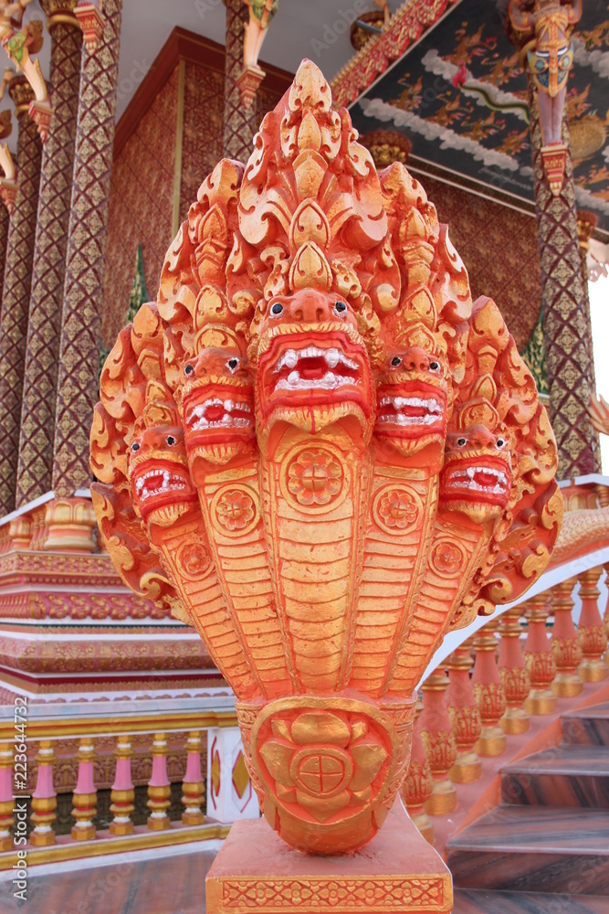 Seven Headed Cobra In Honduras