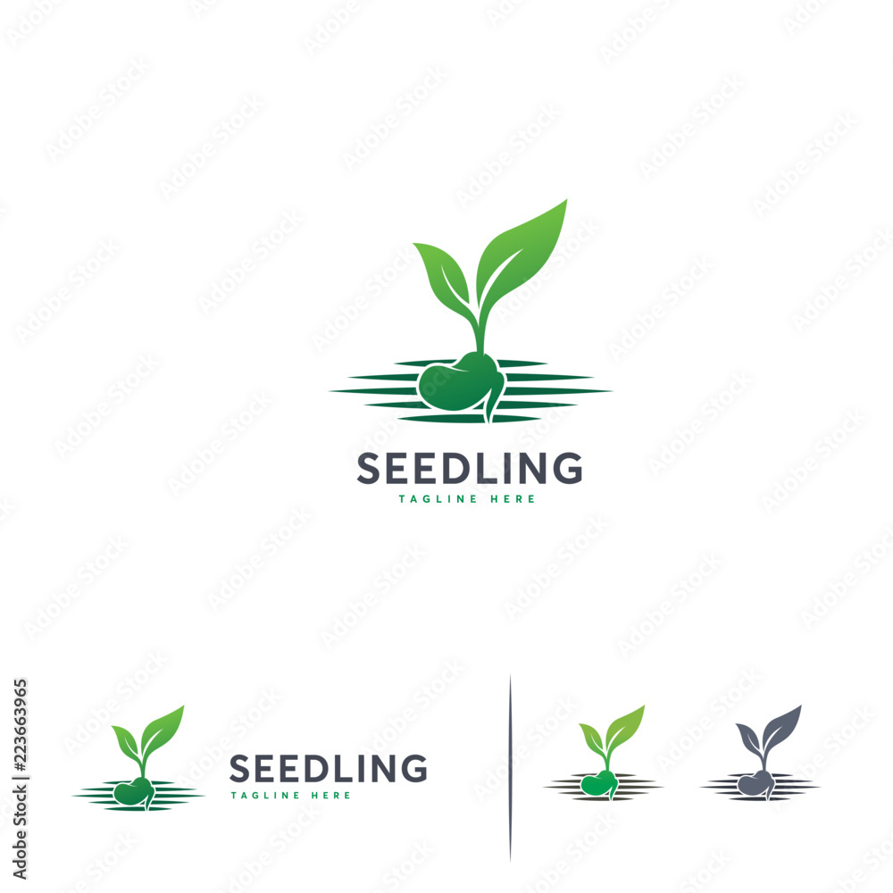 Growing Seed logo template, Iconic Growing seed Stock Vector | Adobe Stock