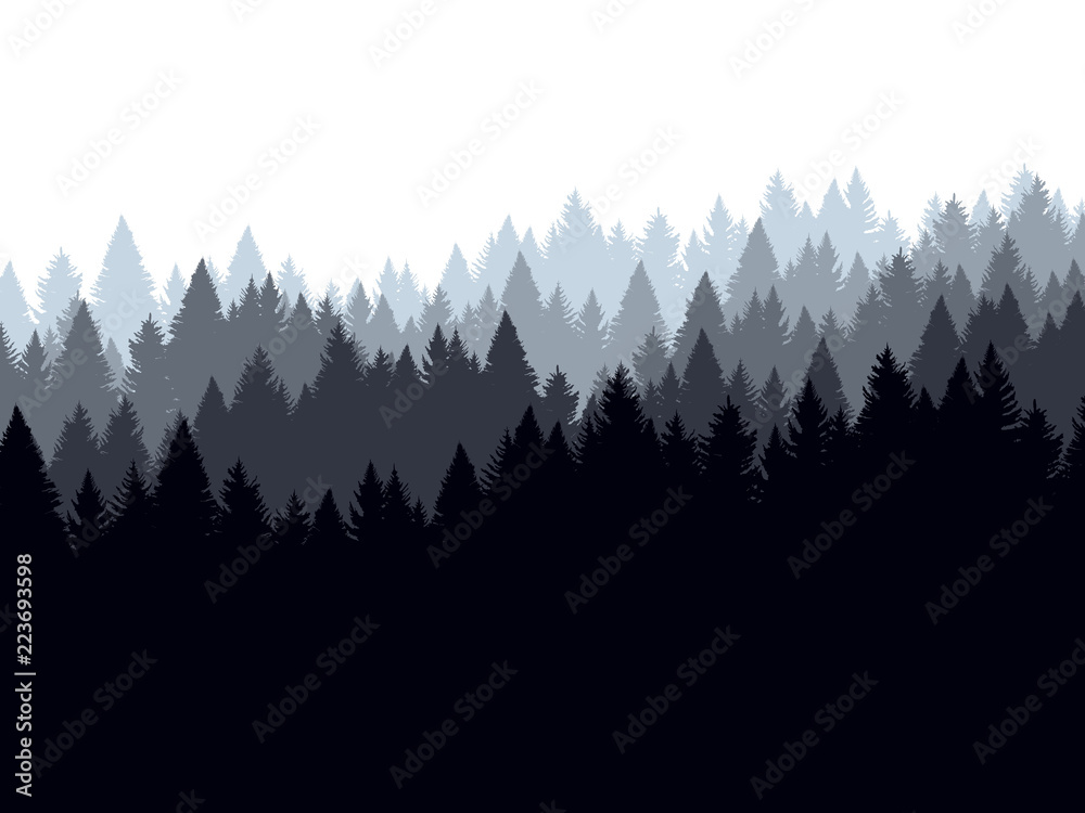 Forest background, coniferous trees. Vector illustration. Landscape ...