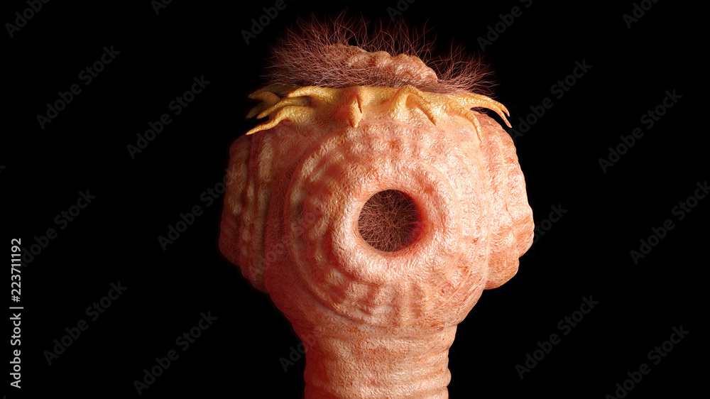 Detailed tapeworm under the microscope-3d rendering Stock Illustration ...