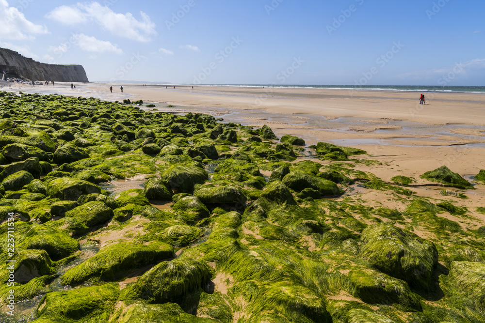La plage d'Escalles au Cap Blanc-Nez - Côte d'Opale - Site des deux ...