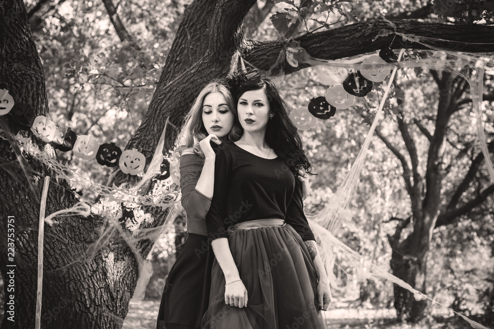 Halloween concept, glamorous costume detail.Two elegant and charming ...