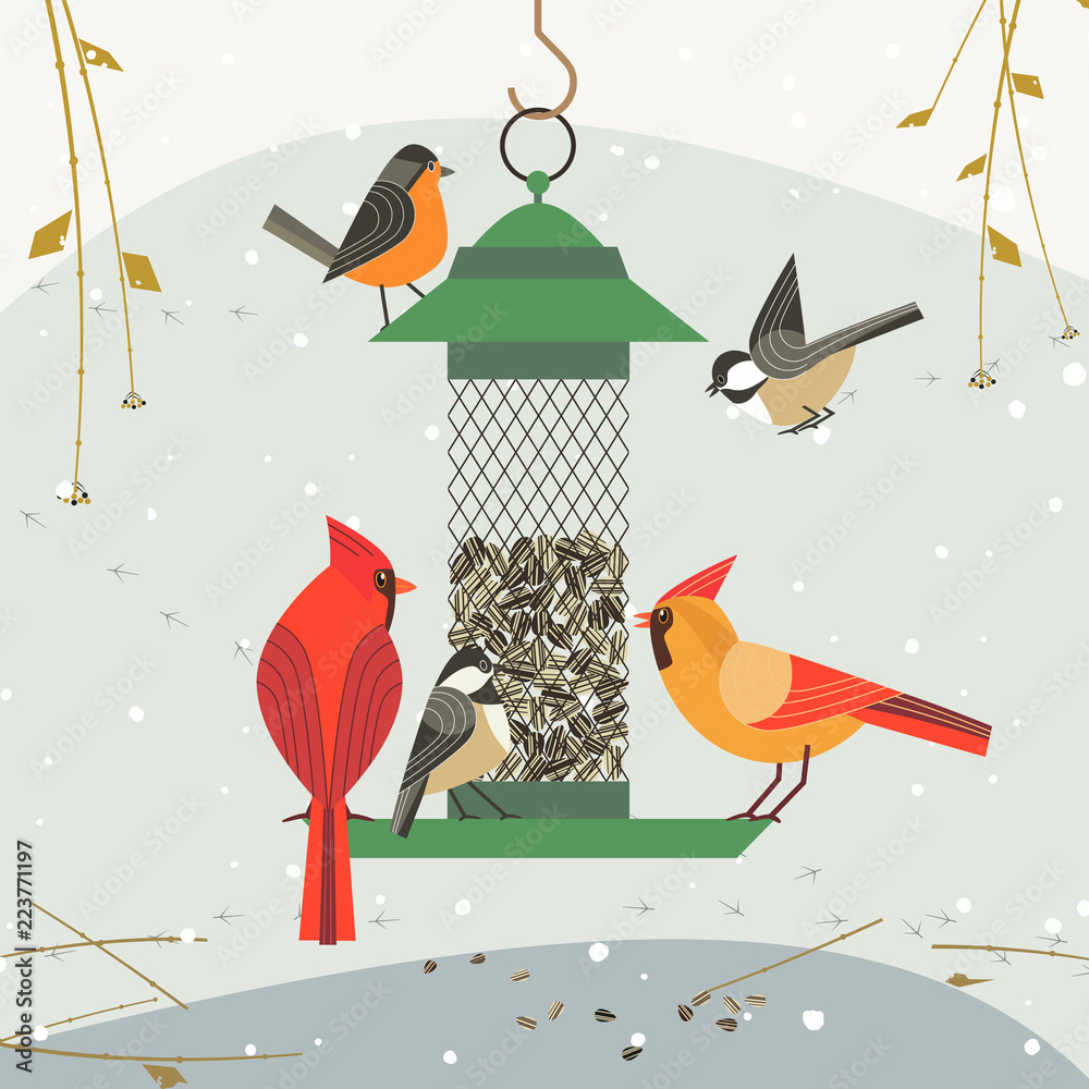 Cute birds poster. Red Northern cardinal, chickadee robin comic cartoon ...