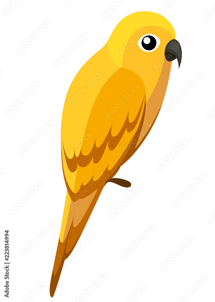 Cute Yellow Parakeets