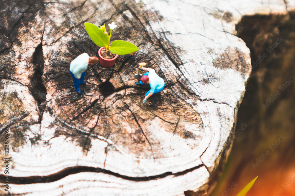 Miniature Greenhouse concept, miniature mini figures with planting tree ...
