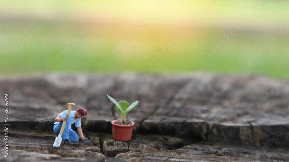 Miniature Greenhouse concept, alone of miniature mini figures with ...