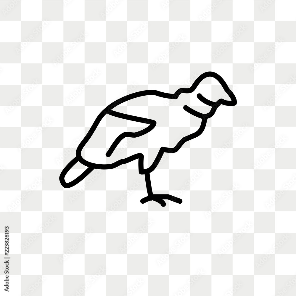 Condor vector icon isolated on transparent background, Condor logo ...