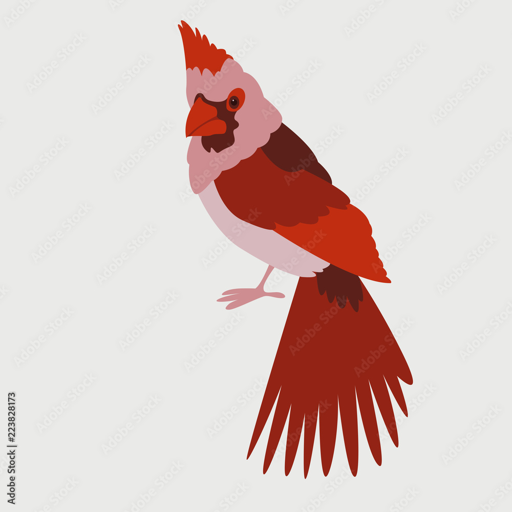 bird cardinal vector illustration flat style front Stock Vector | Adobe ...