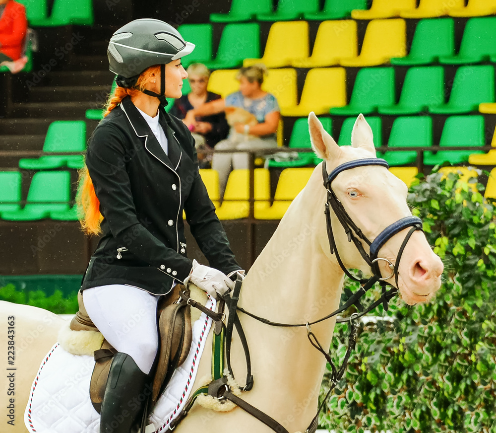 Akhal Teke Show Jumping