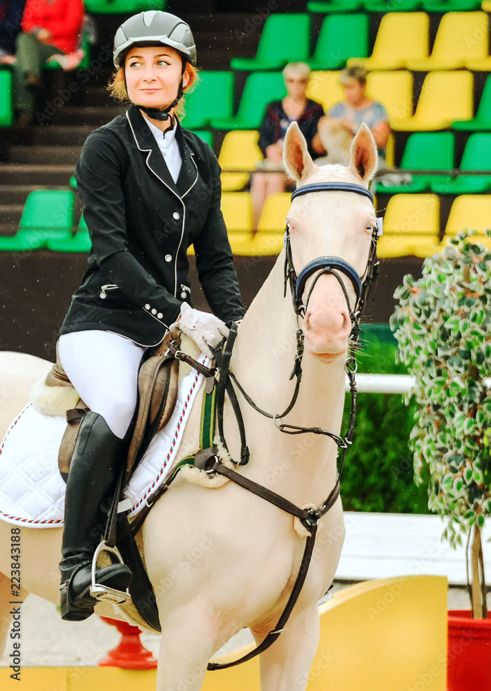 Akhal Teke Show Jumping