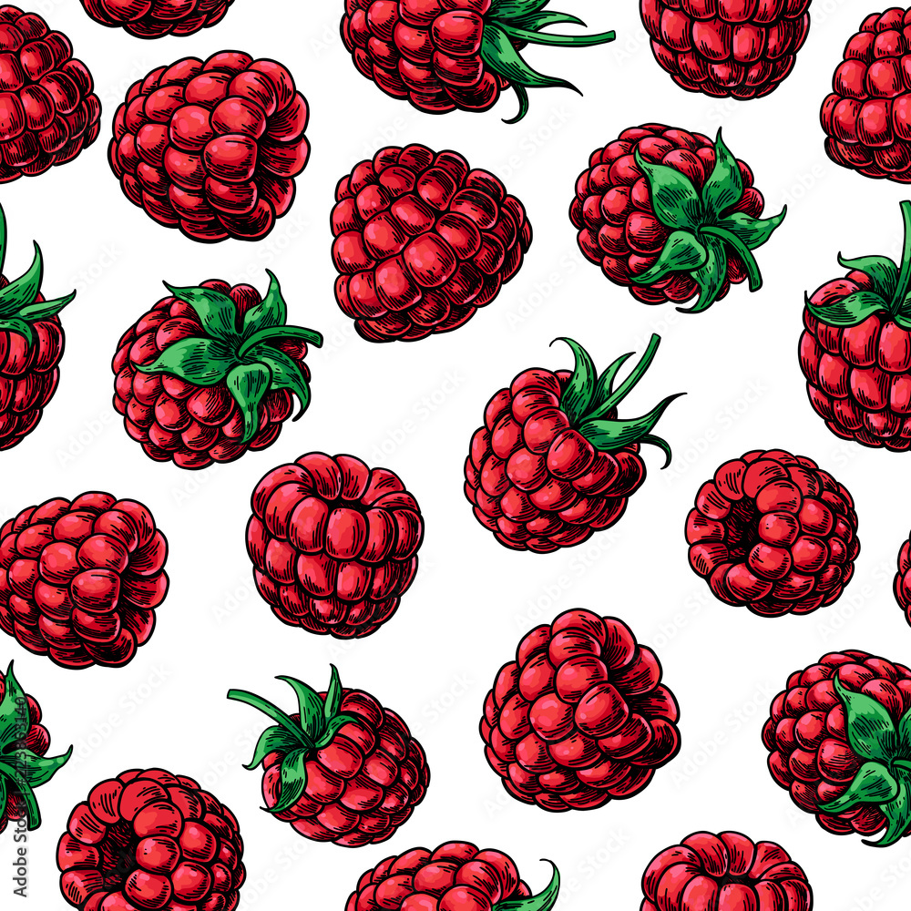 Raspberry seamless pattern. Vector drawing. Isolated berry sketc Stock ...