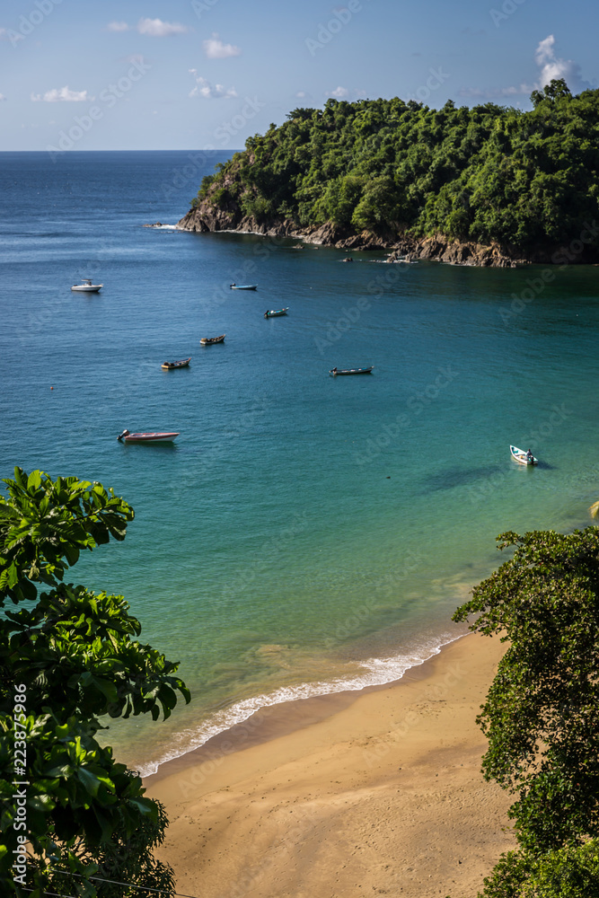 Amazing tropical beach in Trinidad and Tobago, Caribe - blue sky, trees ...
