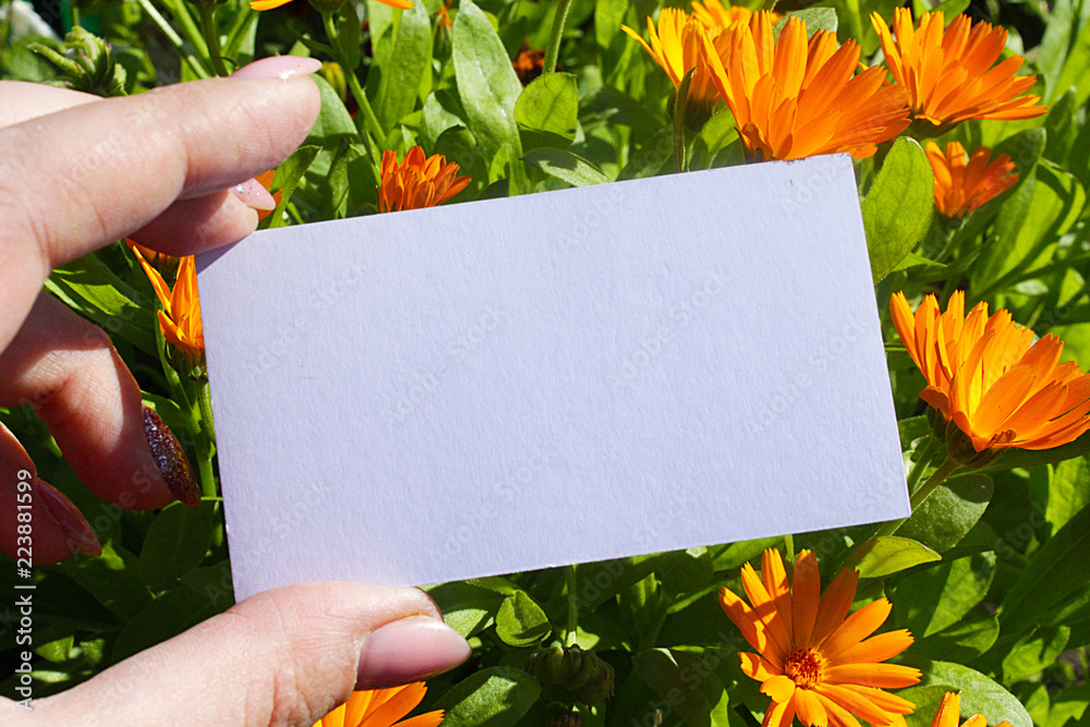 white visit card template hand with flowers Mock-up Stock Photo | Adobe ...