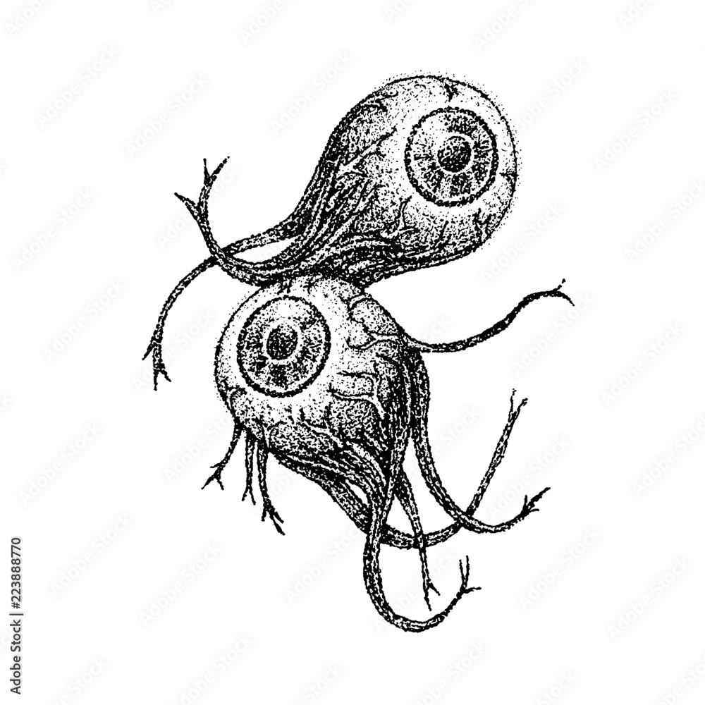 Dotwork Two Eyeballs Stock Vector | Adobe Stock