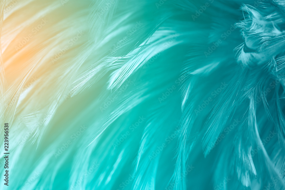 Beautiful green turquoise vintage color trends feather texture ...