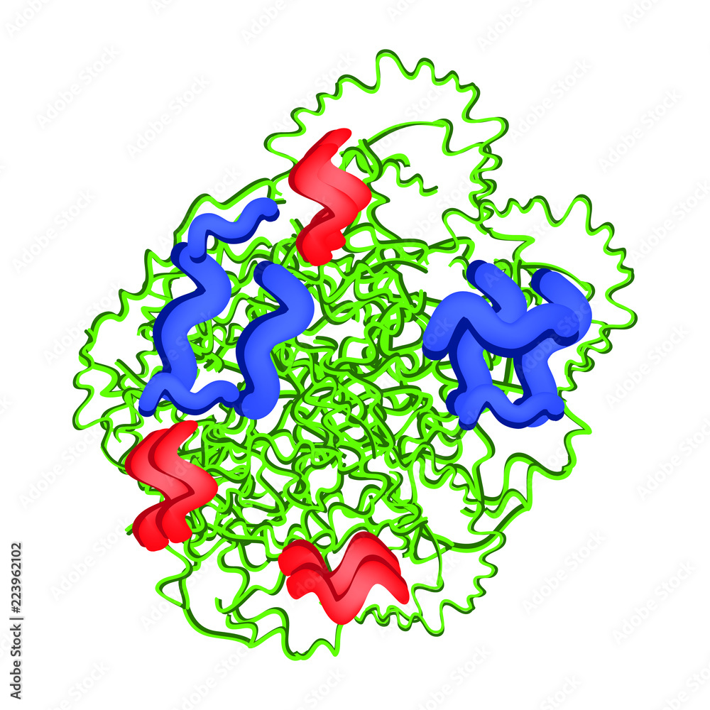Trypsin molecular chemical formula. Enzyme of the pancreas ...