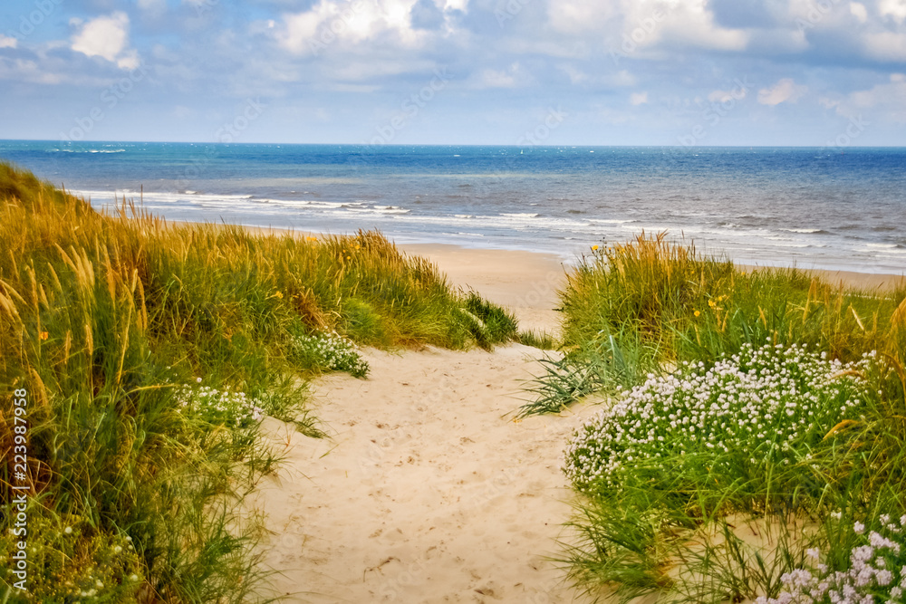 looking across the Wadden Sea from the Frisian Island of Vlieland. The ...