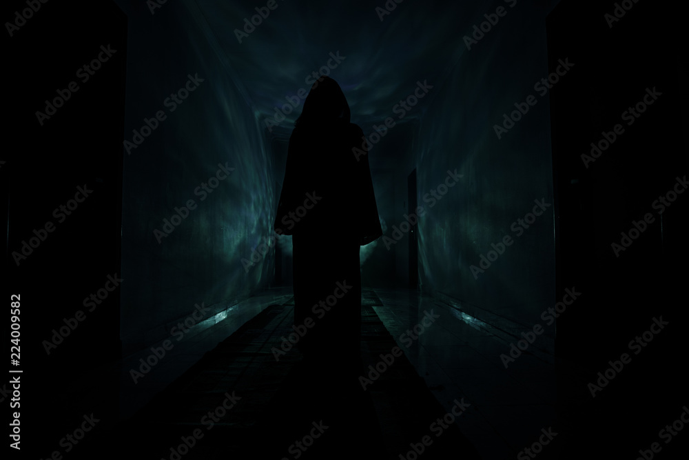 Creepy silhouette in the dark abandoned building. Dark corridor with ...