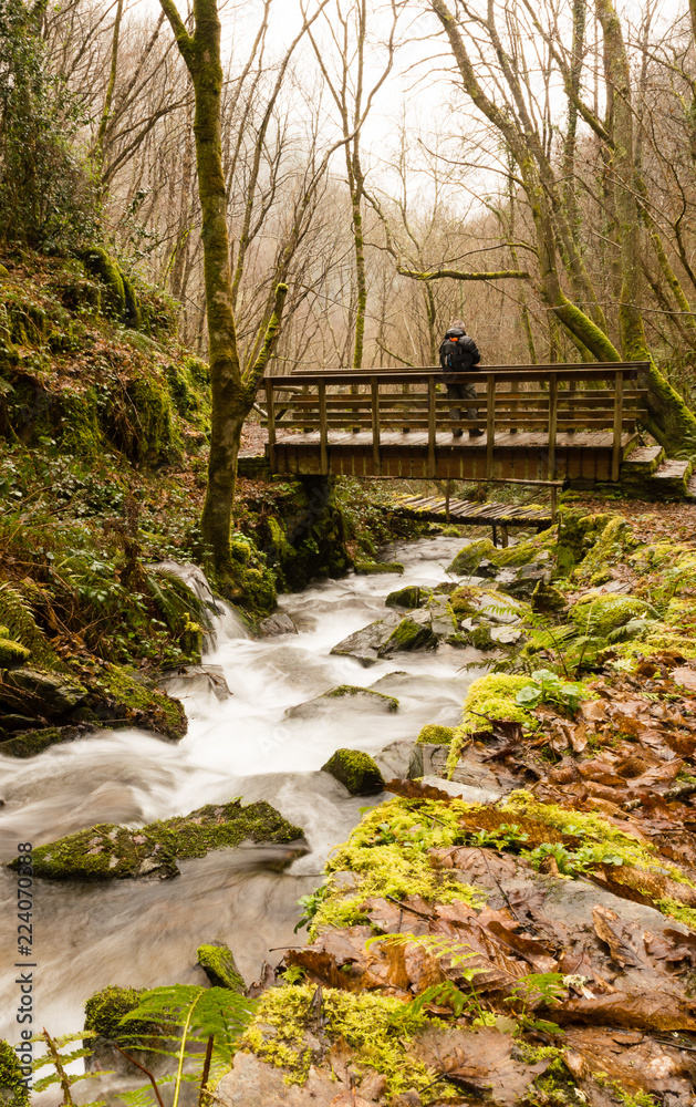 Beautiful Wooden Bridge With Stream