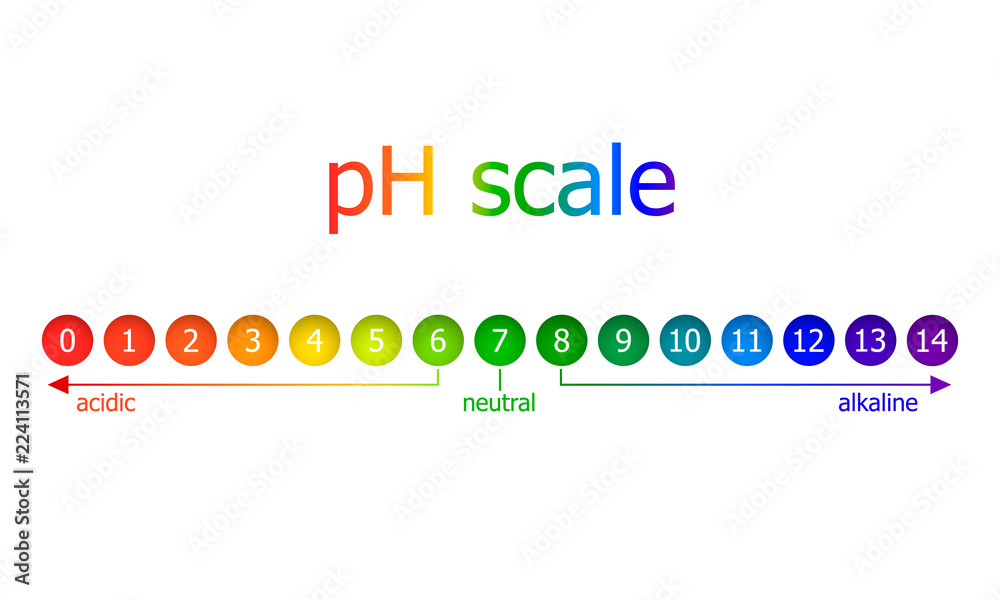Vector pH Scale Scheme, Rainbow Colors, Isolated on White Background ...