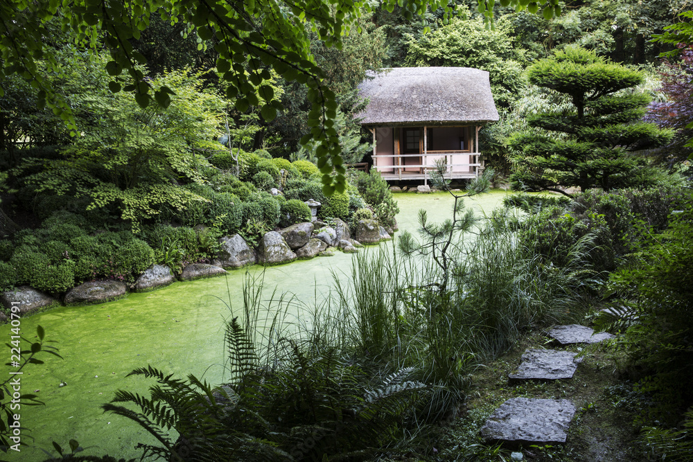 View of small thatched hut among trees in a Japanese Tea Garden with ...