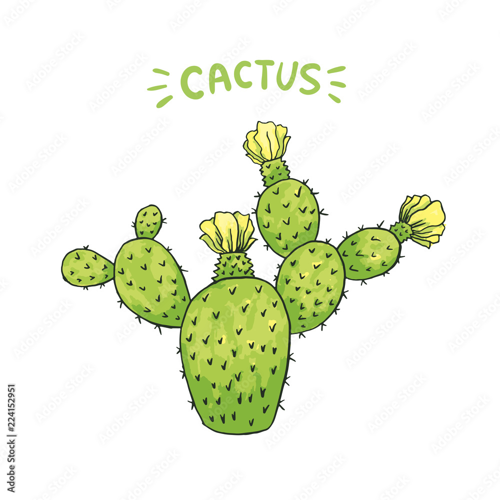 Mexican Cactus with Spines or Thorns and Flowers as Isolated Clipart ...