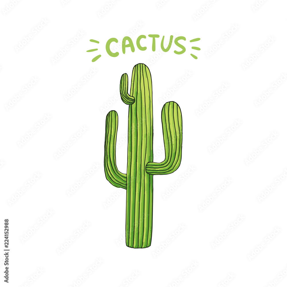 Mexican Cactus with Spines or Thorns and Flowers as Isolated Clipart ...