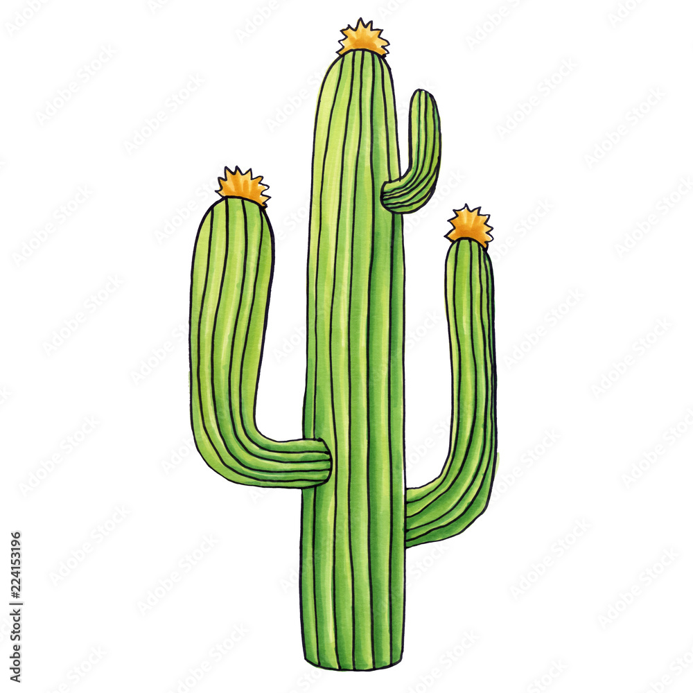 Mexican Cactus Clip Art