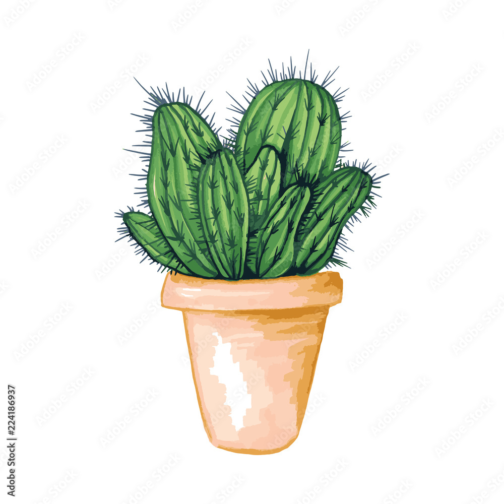 Mexican Cactus with Spines or Thorns and Flowers in clay pot as ...