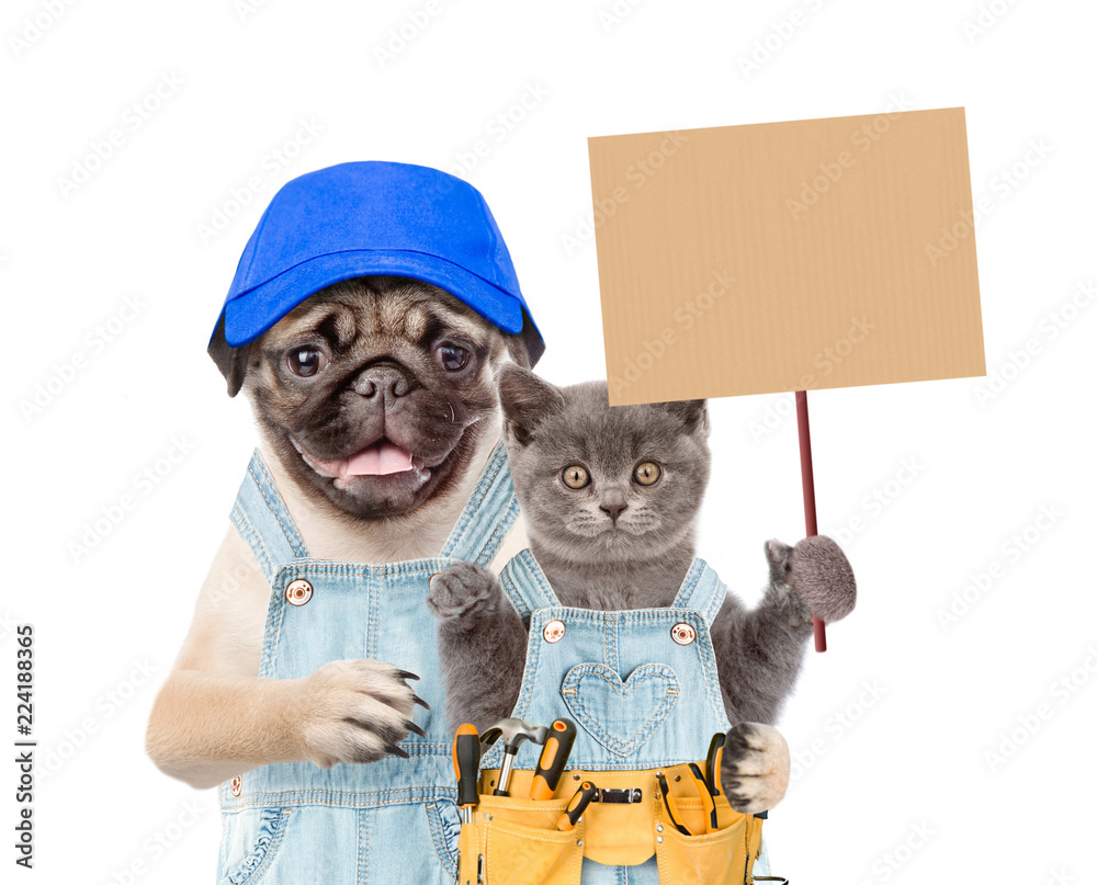 Funny puppy in blue cap and kitten worker with tool belt holding blank ...