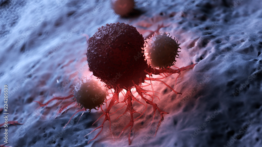 3d rendered medically accurate illustration of white blood cells ...