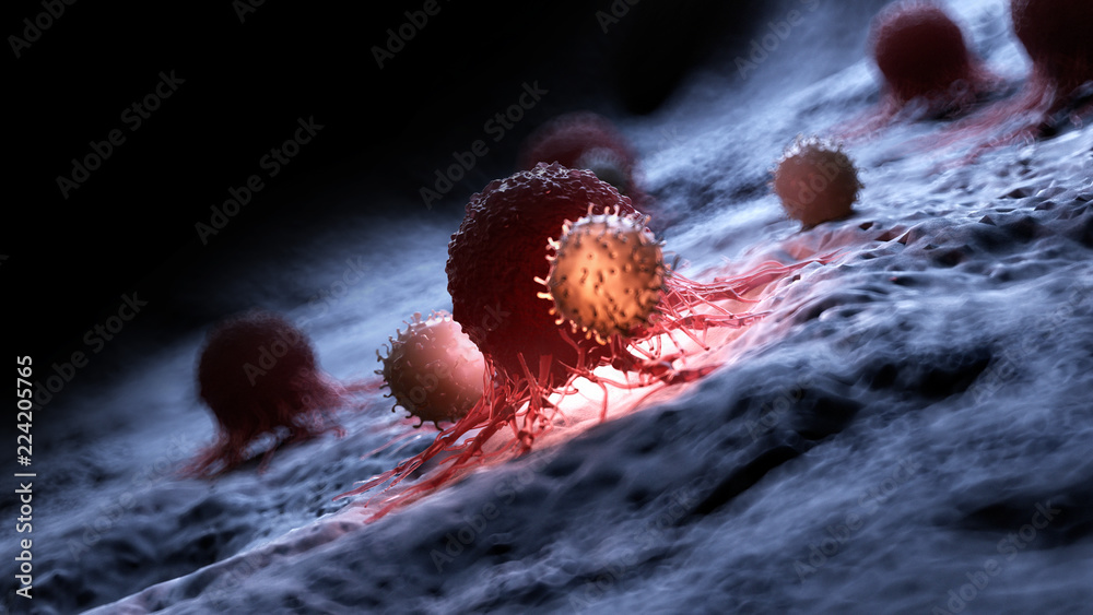 3d rendered medically accurate illustration of white blood cells ...
