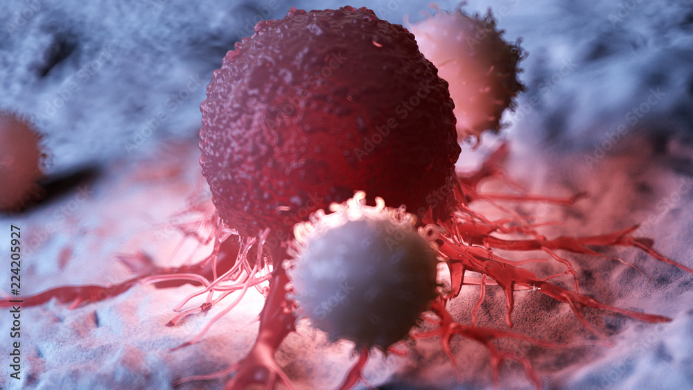 3d rendered medically accurate illustration of white blood cells ...