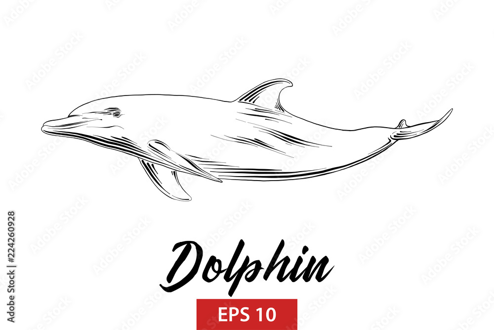 Vector engraved style illustration for posters, decoration and print ...