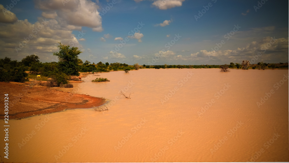 Sahel Landscape