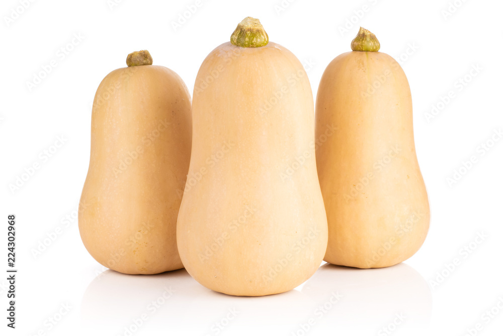 Group of three whole smooth pear shaped orange butternut squash waltham ...