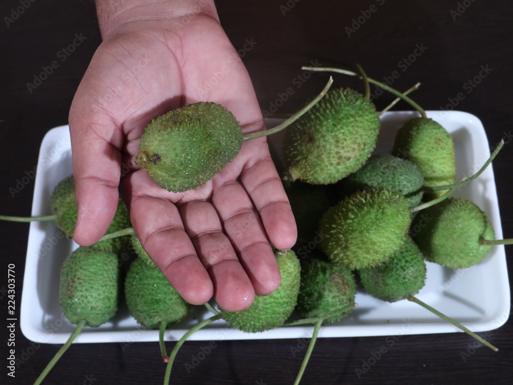 spiny gourd (Kantola),Spiny Gourd or Kantola vegetable isolated,Spiny ...