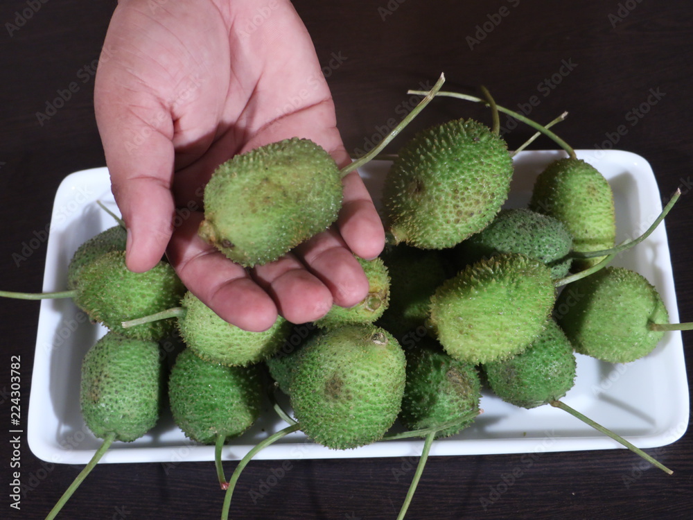 spiny gourd (Kantola),Spiny Gourd or Kantola vegetable isolated,Spiny ...