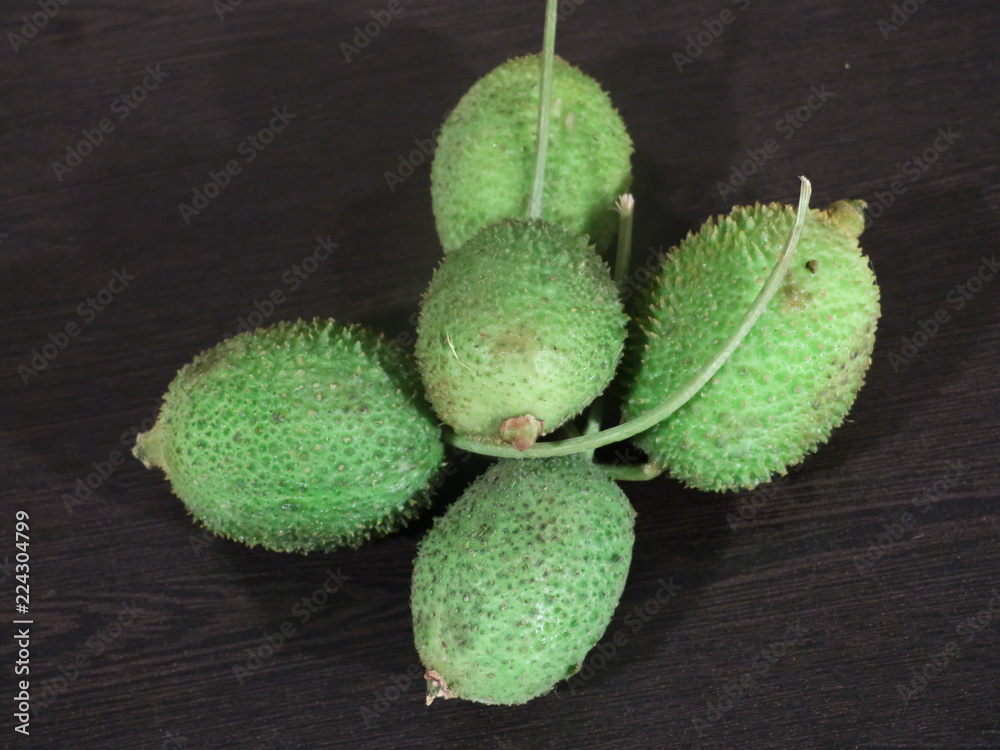spiny gourd (Kantola),Spiny Gourd or Kantola vegetable isolated,Spiny ...