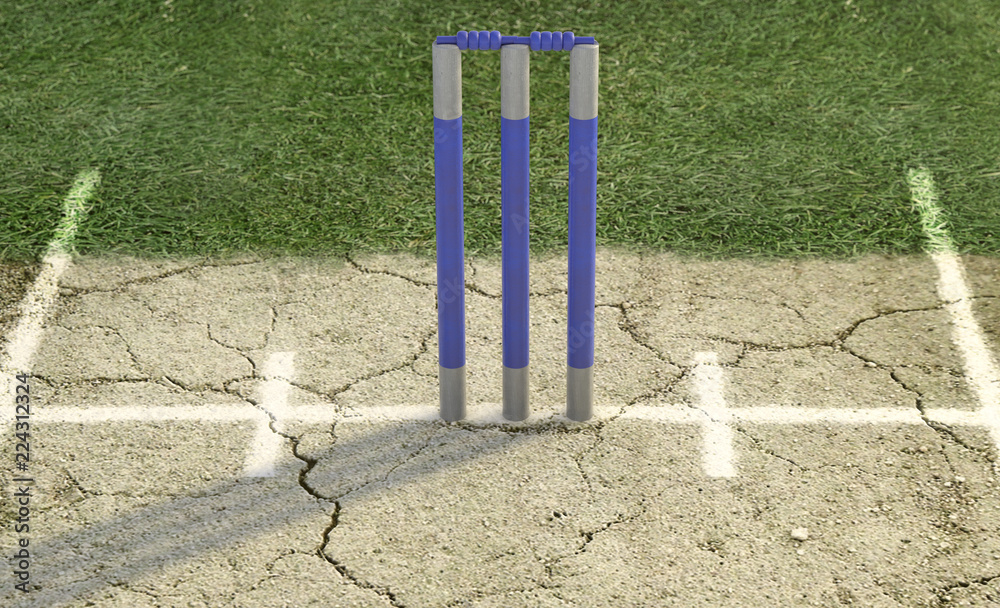 Cricket Pitch Ball And Wickets Stock Photo | Adobe Stock