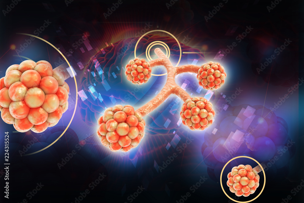 3d rendered alveoli in color background Stock Illustration | Adobe Stock